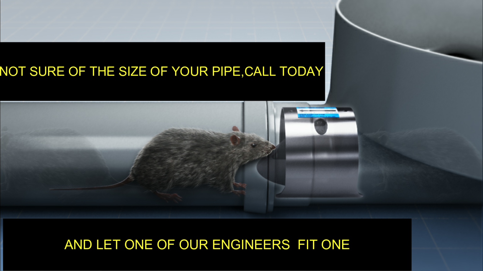 BUY RATFLAP - All Brite Environmental